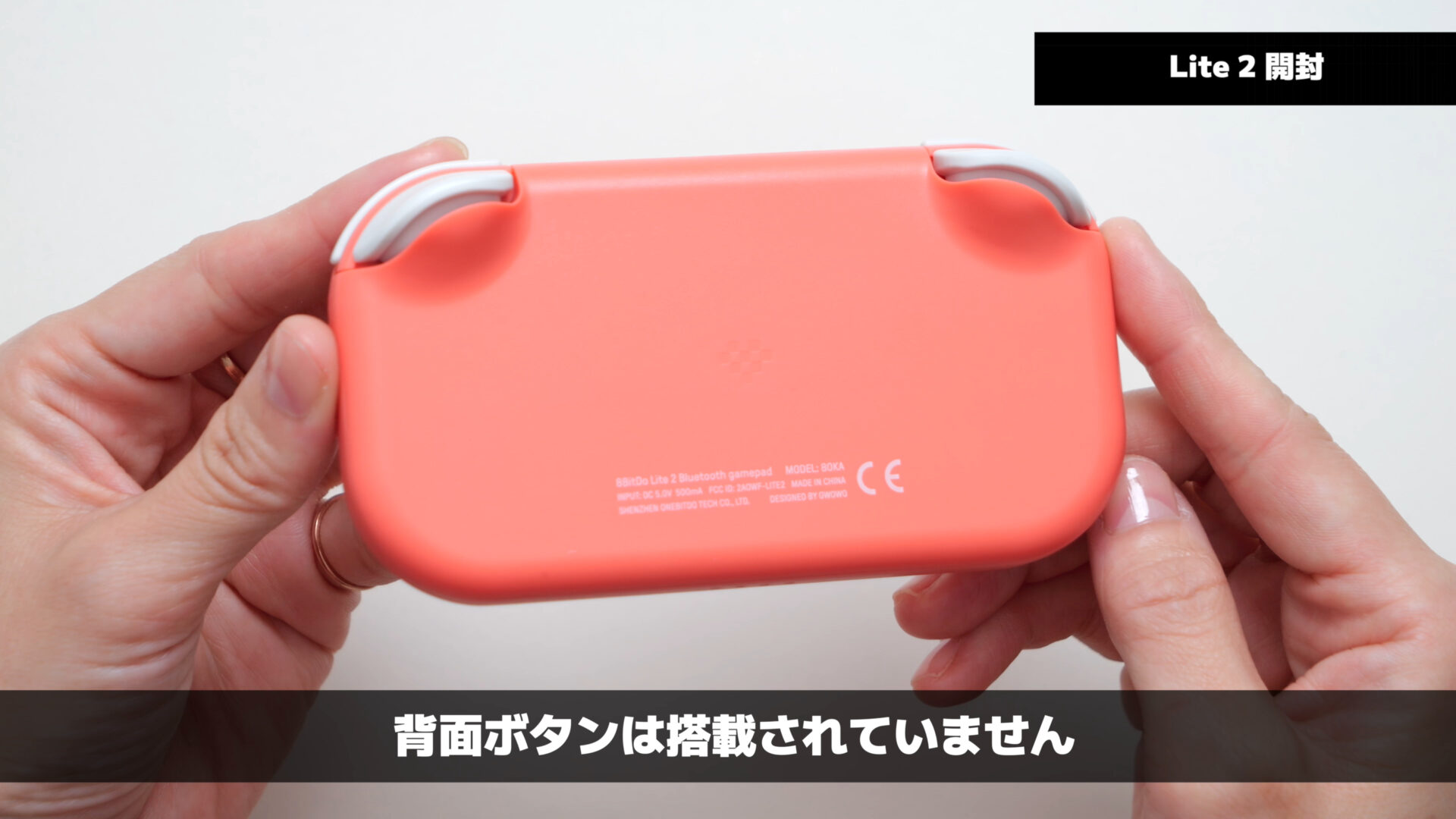 【8BitDo Lite 2 コントローラー レビュー】Joy-Conと比較 - さくらあん / SakuraAnne