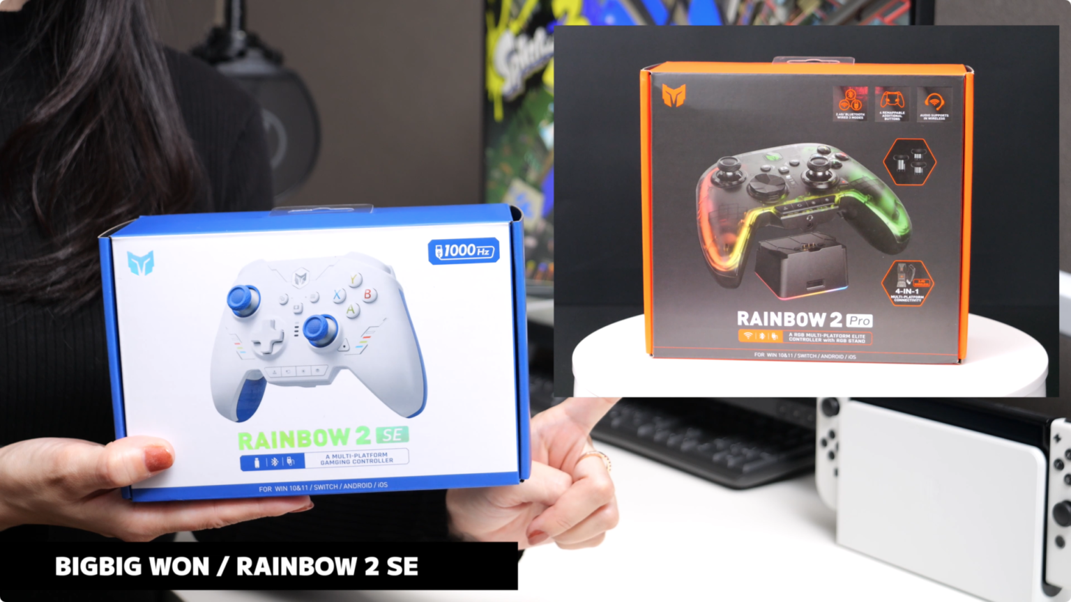 【レビュー】BIGBIG WON Rainbow 2 SE コントローラー【スイッチ/PC】 - さくらあん / SakuraAnne