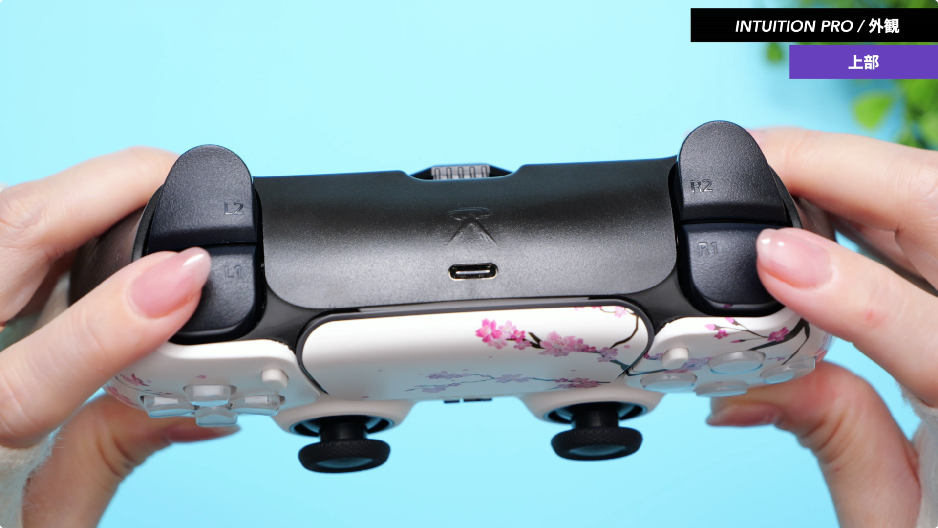 【レビュー】Void Gaming『INTUITION PRO』コントローラー！PS5対応！新スマートスティック搭載！ - さくらあん / SakuraAnne