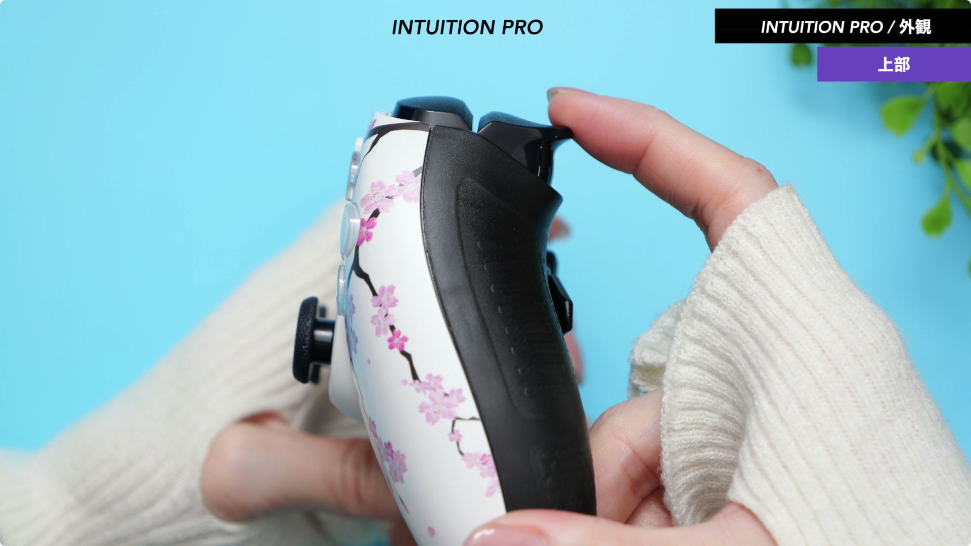 【レビュー】Void Gaming『INTUITION PRO』コントローラー！PS5対応！新スマートスティック搭載！ - さくらあん / SakuraAnne
