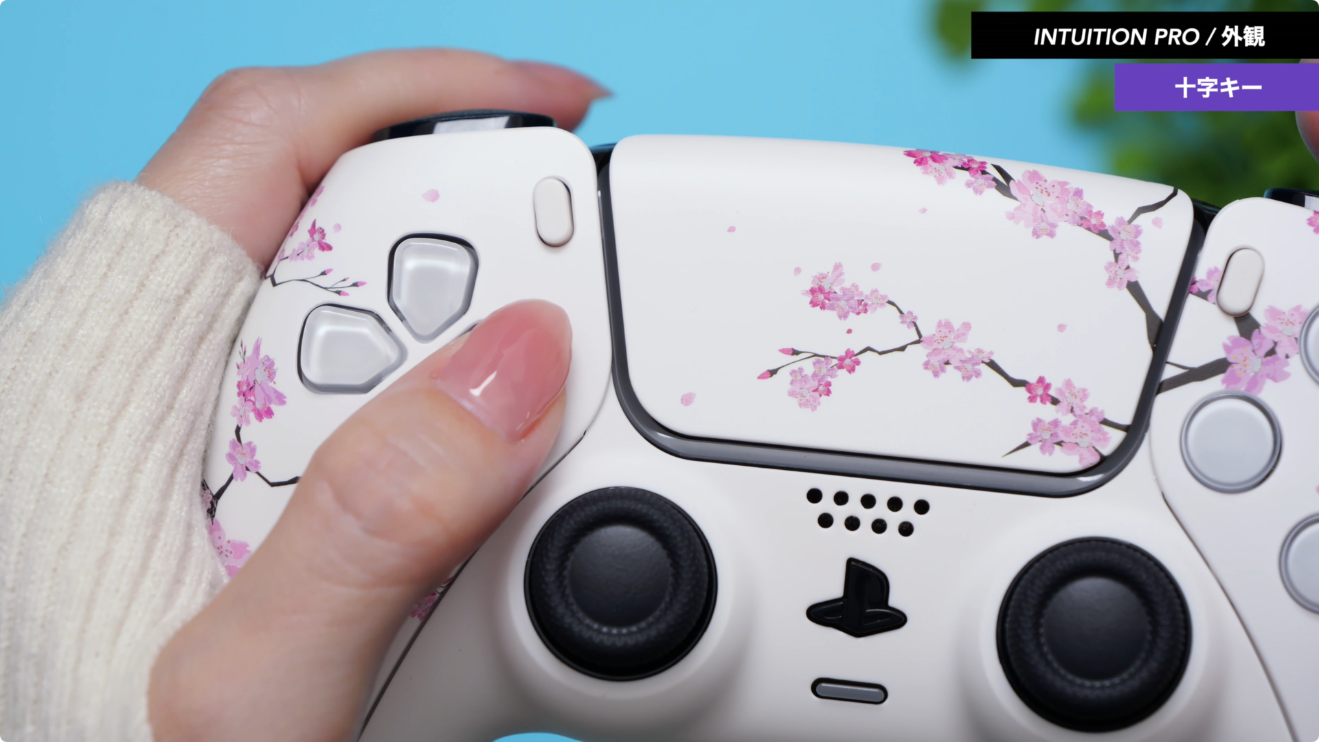 【レビュー】Void Gaming『INTUITION PRO』コントローラー！PS5対応！新スマートスティック搭載！ - さくらあん / SakuraAnne