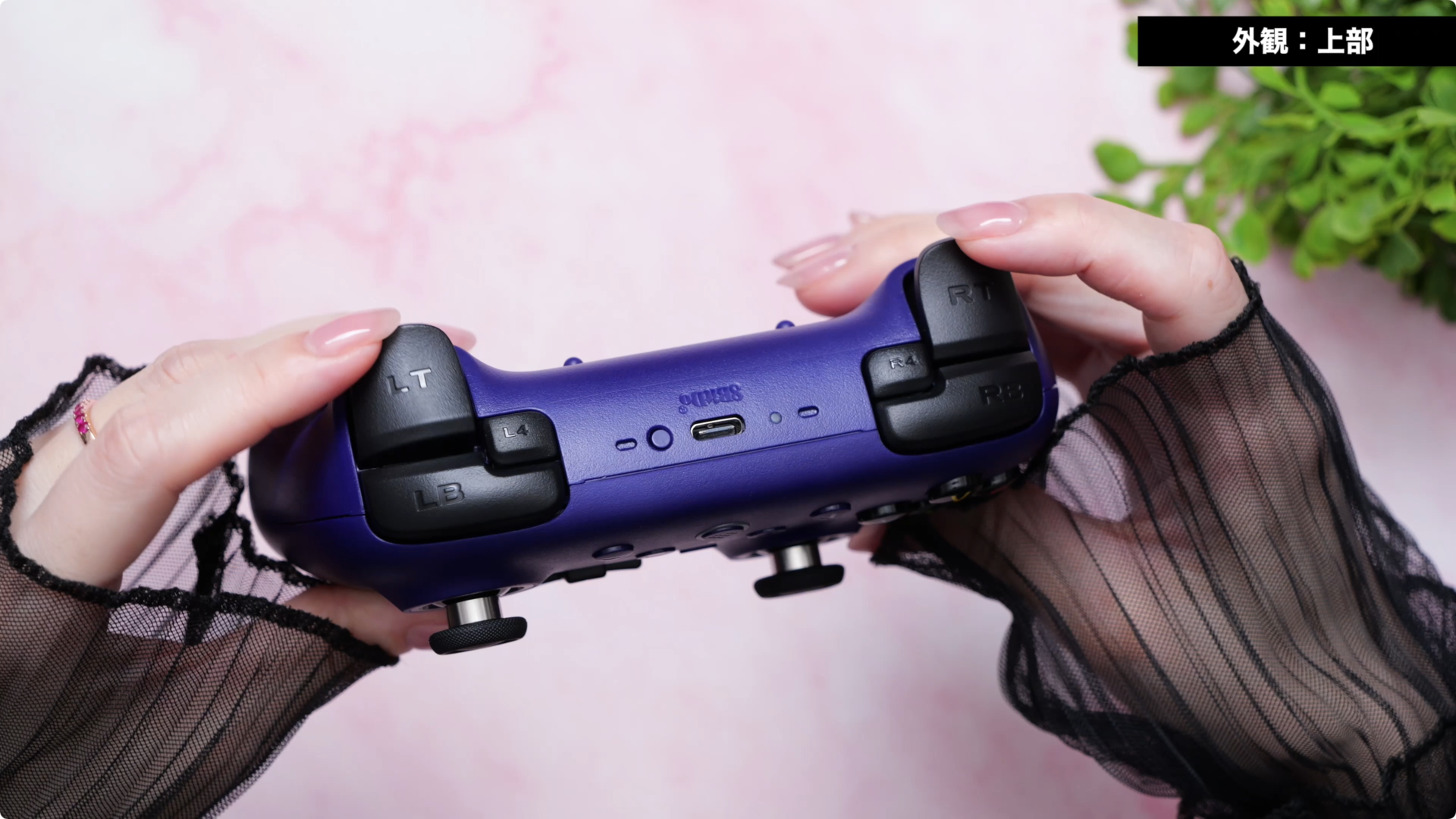 【レビュー】8BitDo Ultimate 2 コントローラー！究極の「2」が誕生！ - さくらあん / SakuraAnne