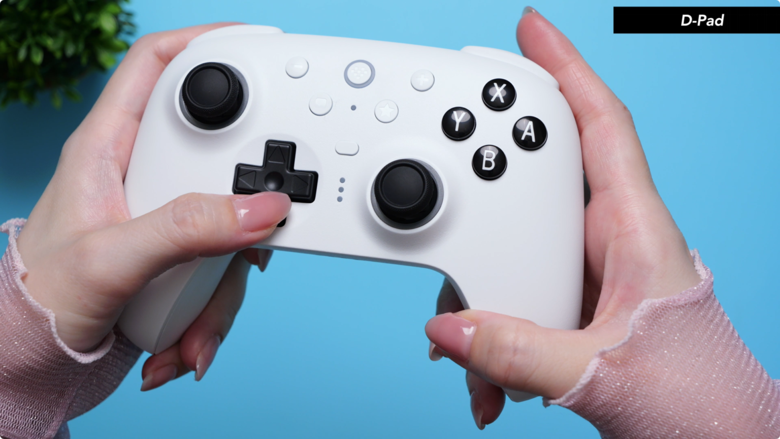 【レビュー】8BitDo Ultimate 2 Bluetoothがスイッチ2で遊べるぞー！ - さくらあん / SakuraAnne